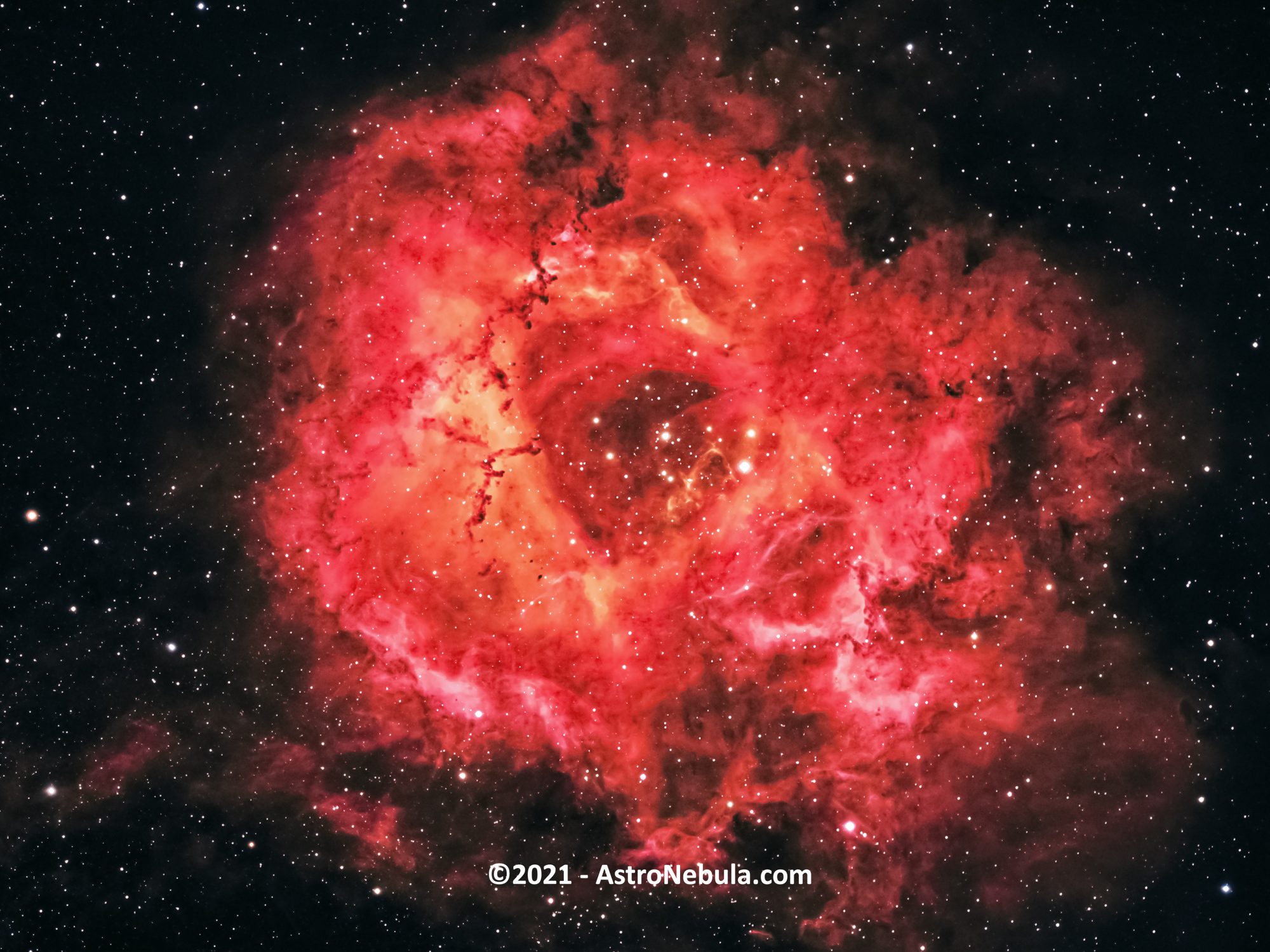 Orion Nebula M42 A Look Inside the Trapezium Cluster